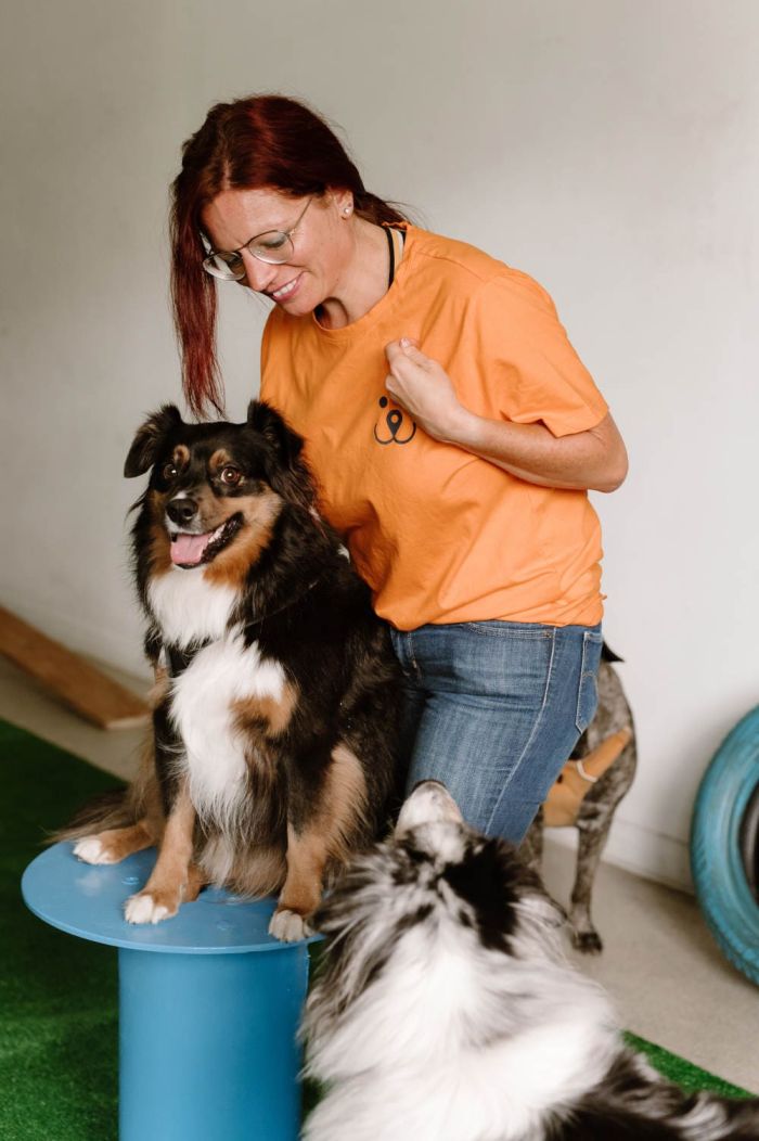 PatchGuard - Réseau de crèches canines et de petsitters professionnels