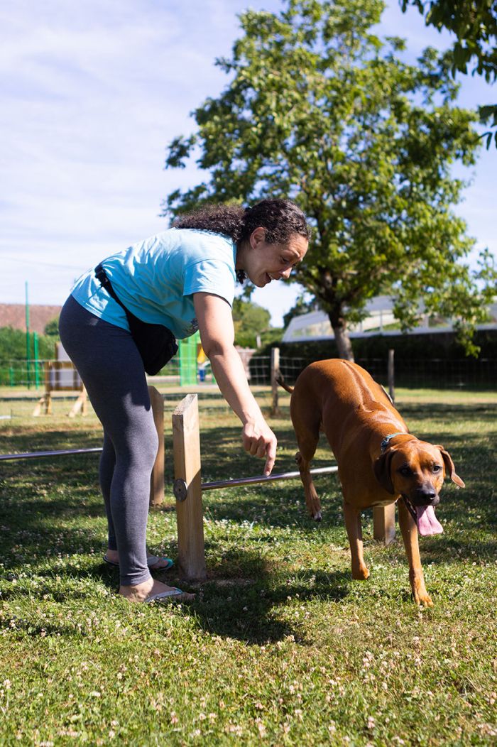 Devenir Petsitter avec Patchguard