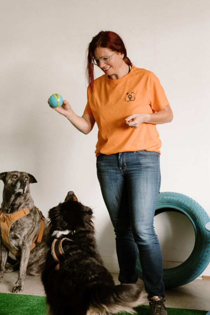 PatchGuard - Accueillir une crèche canine sur ma collectivité ou mon ...