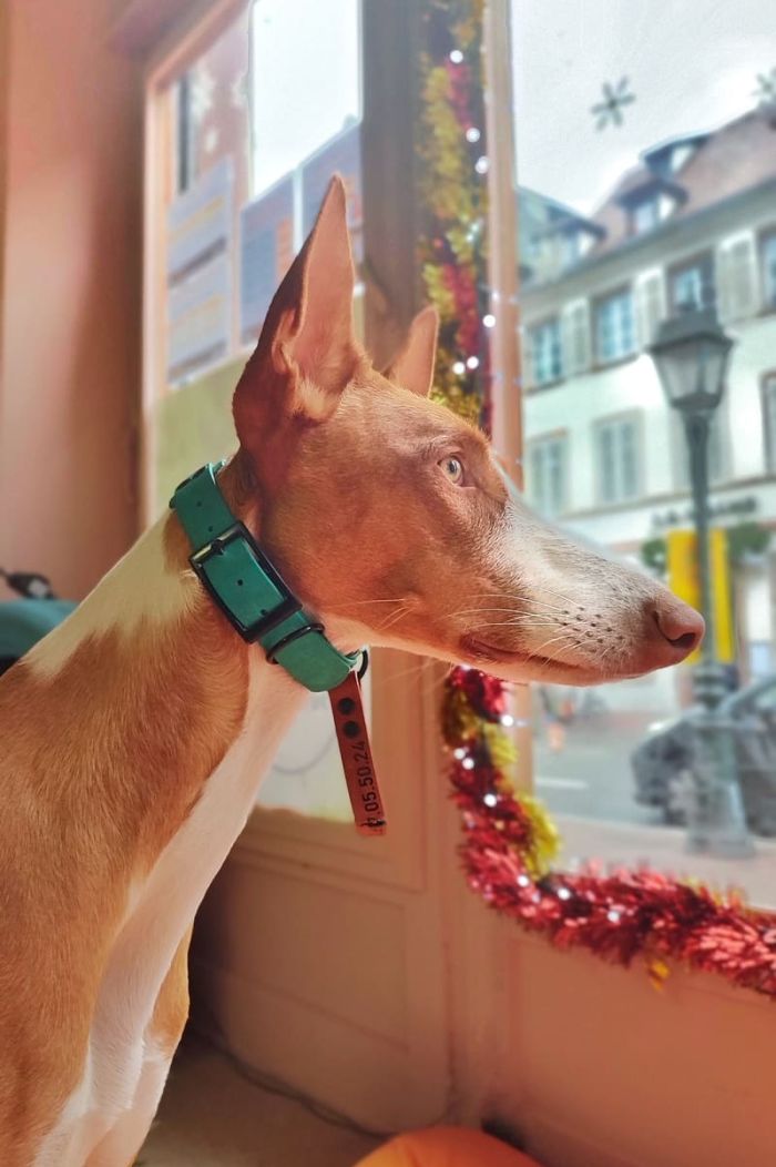 PatchGuard - A propos