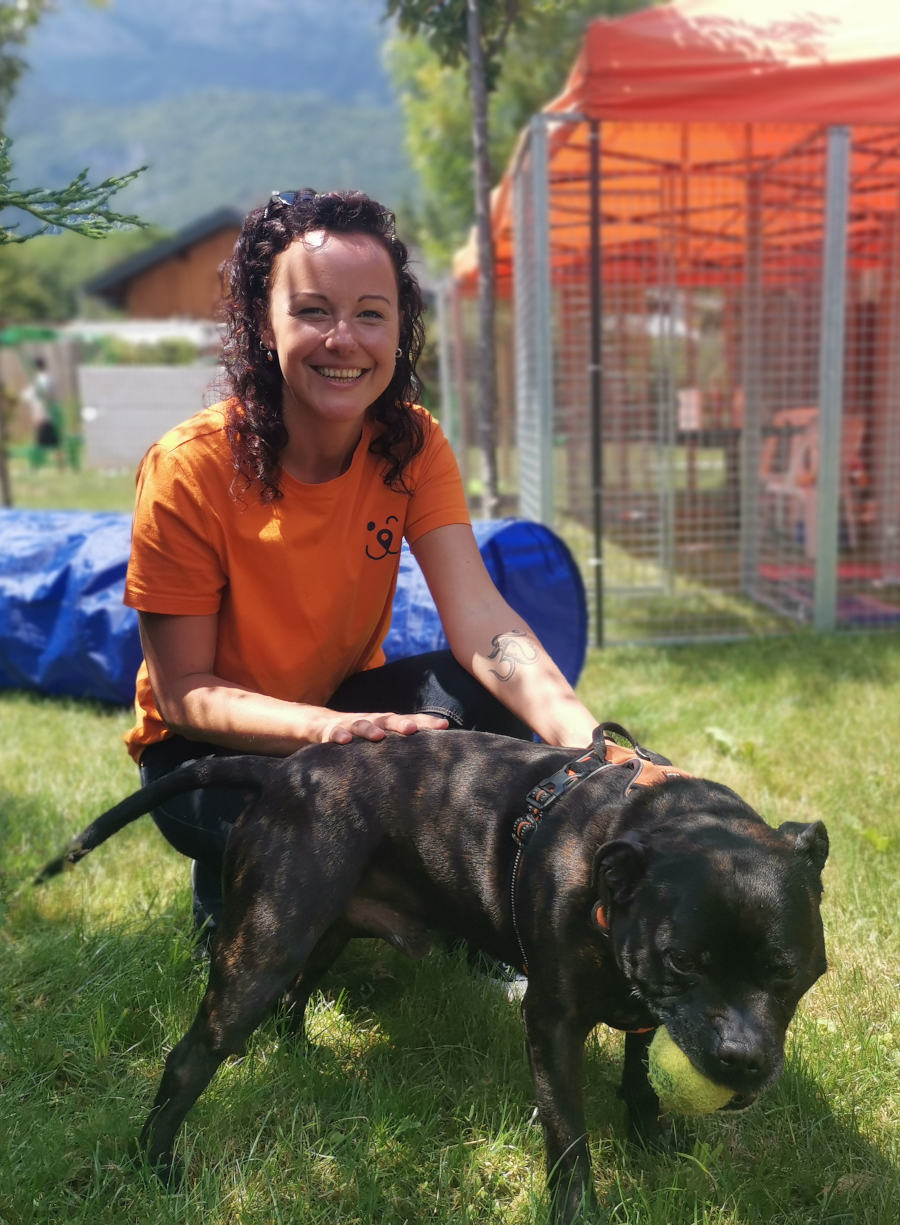 PatchGuard - Devenir dogsitter professionnel