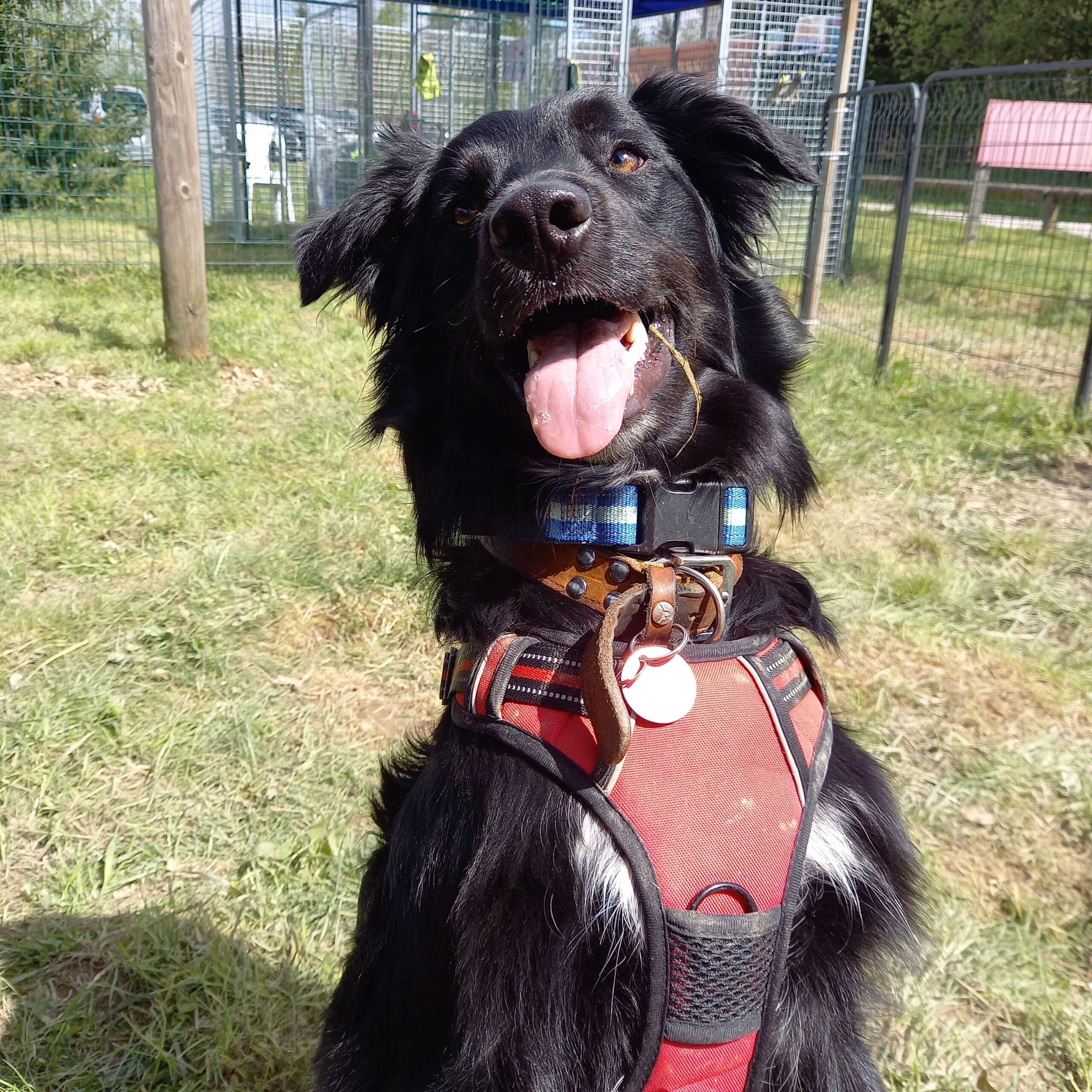 PatchGuard - Nos tarifs à la crèche de Center Parcs